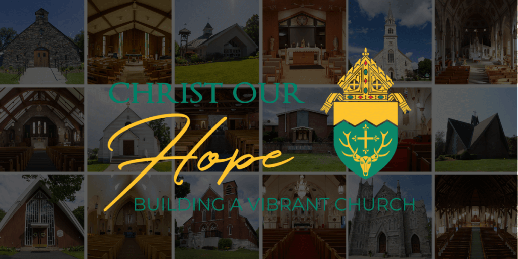 Update on Christ Our Hope: Building a Vibrant Church - Roman Catholic ...