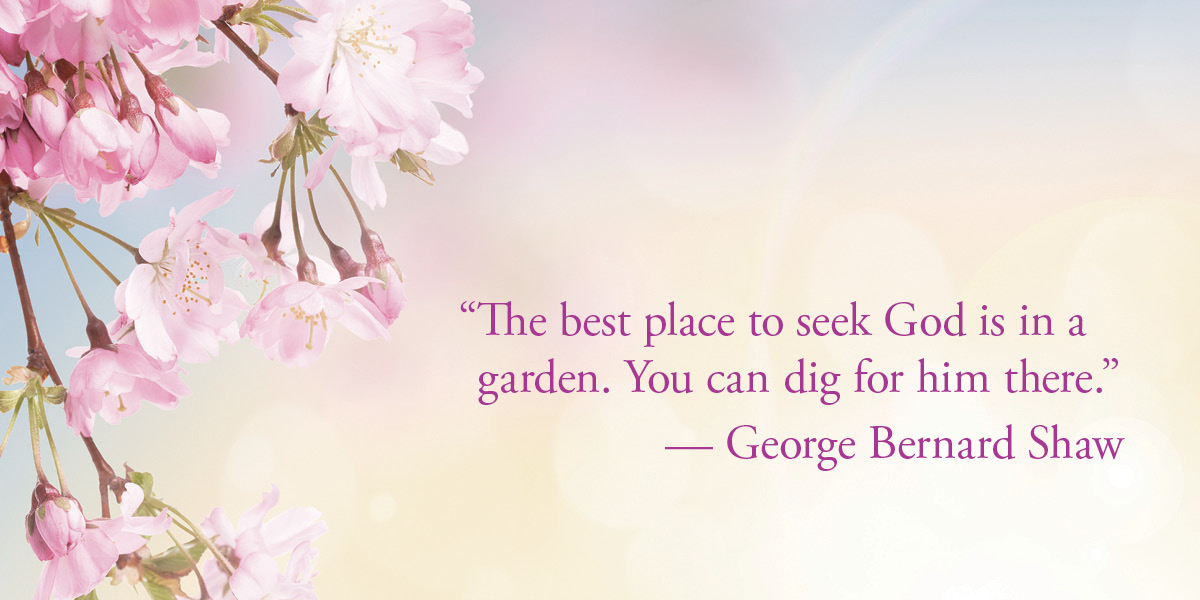 Every garden proclaims the mighty works of God - Roman Catholic Diocese ...