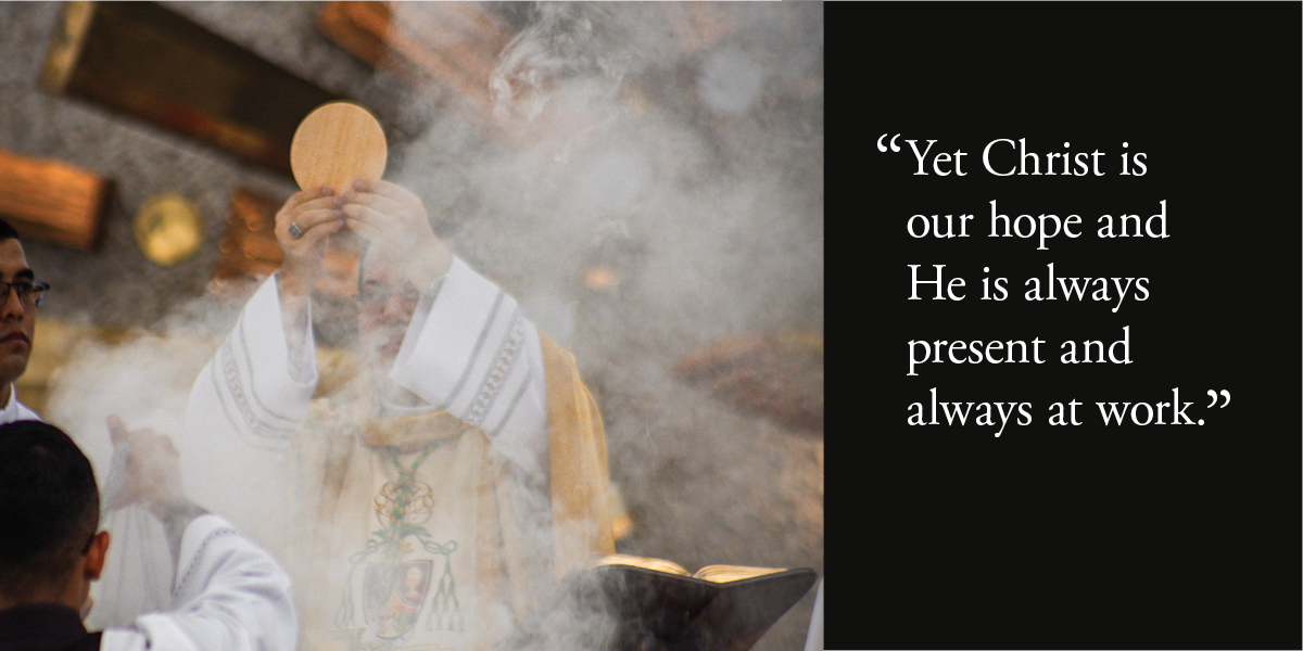 Renewed in Hope - Roman Catholic Diocese of Burlington