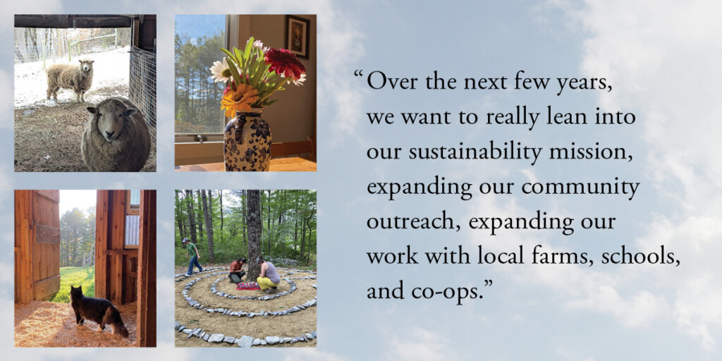 To sustain our common home: Faith and sustainability at the Mercy ...